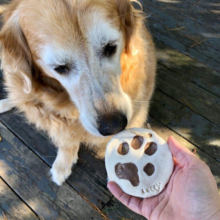 DIY Paw Print Ornaments - Easily Made with Salt Dough - Love Mischka