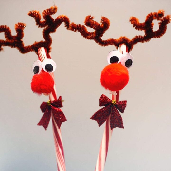 How to Make DIY Reindeer Candy Canes - Love Mischka